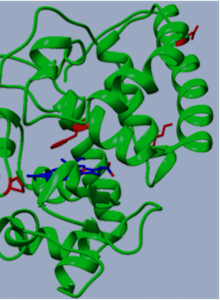 People — Ting Laboratory