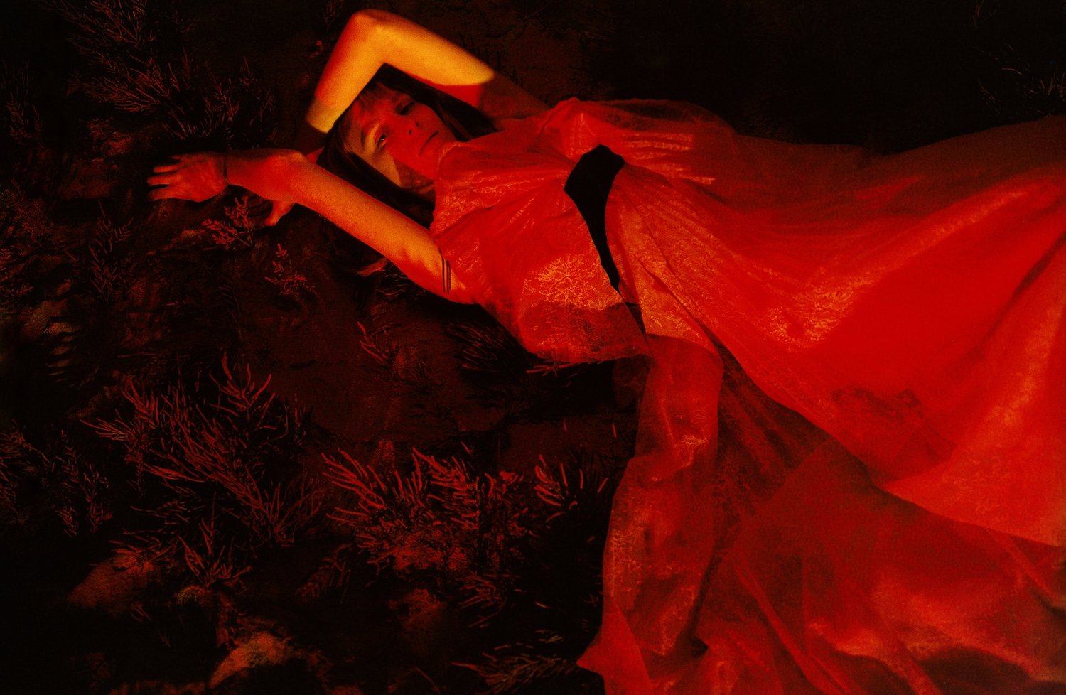 Rory Payne Photography