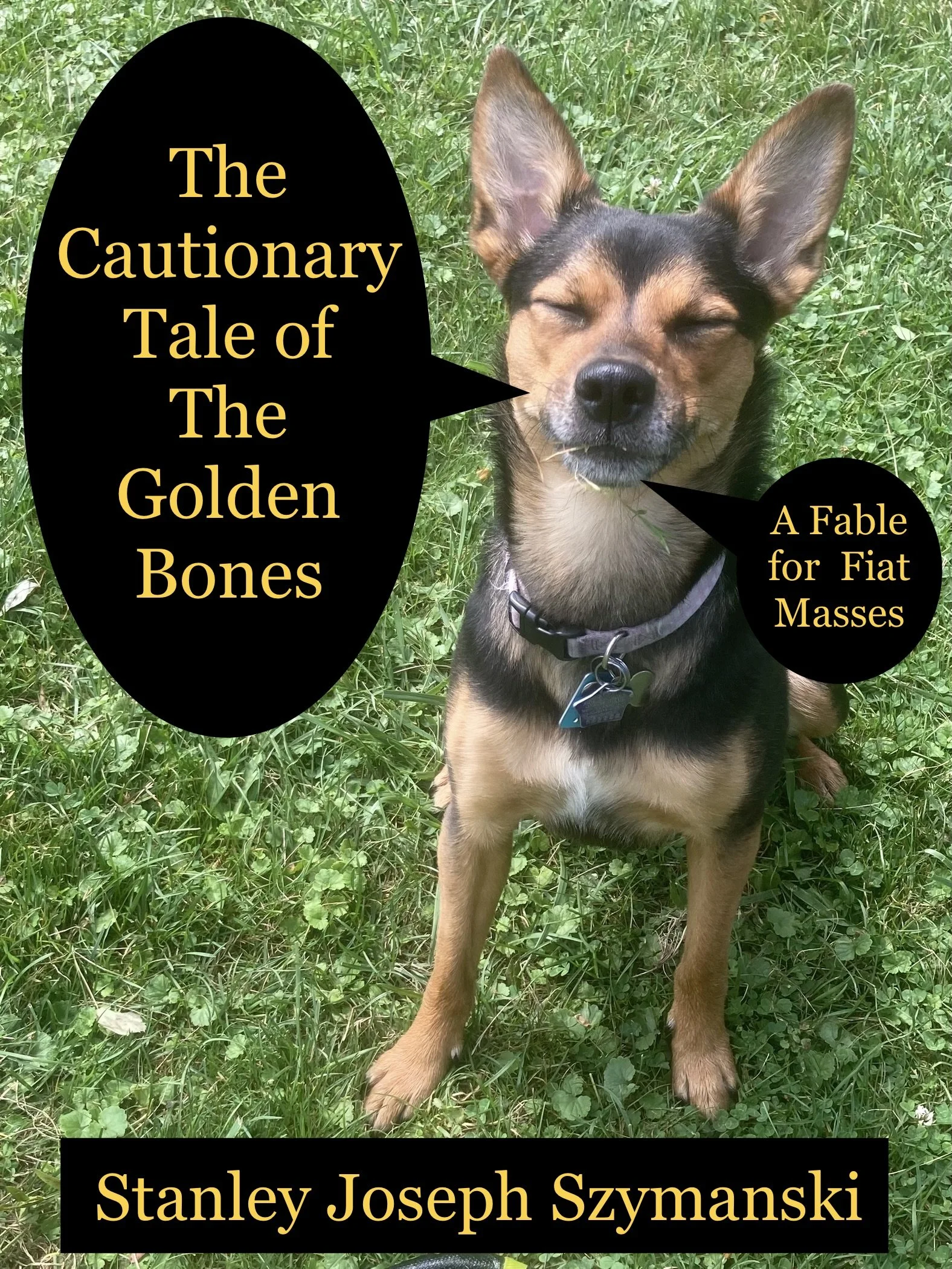 The Cautionary Tale of The Golden Bones — Stan Szymanski