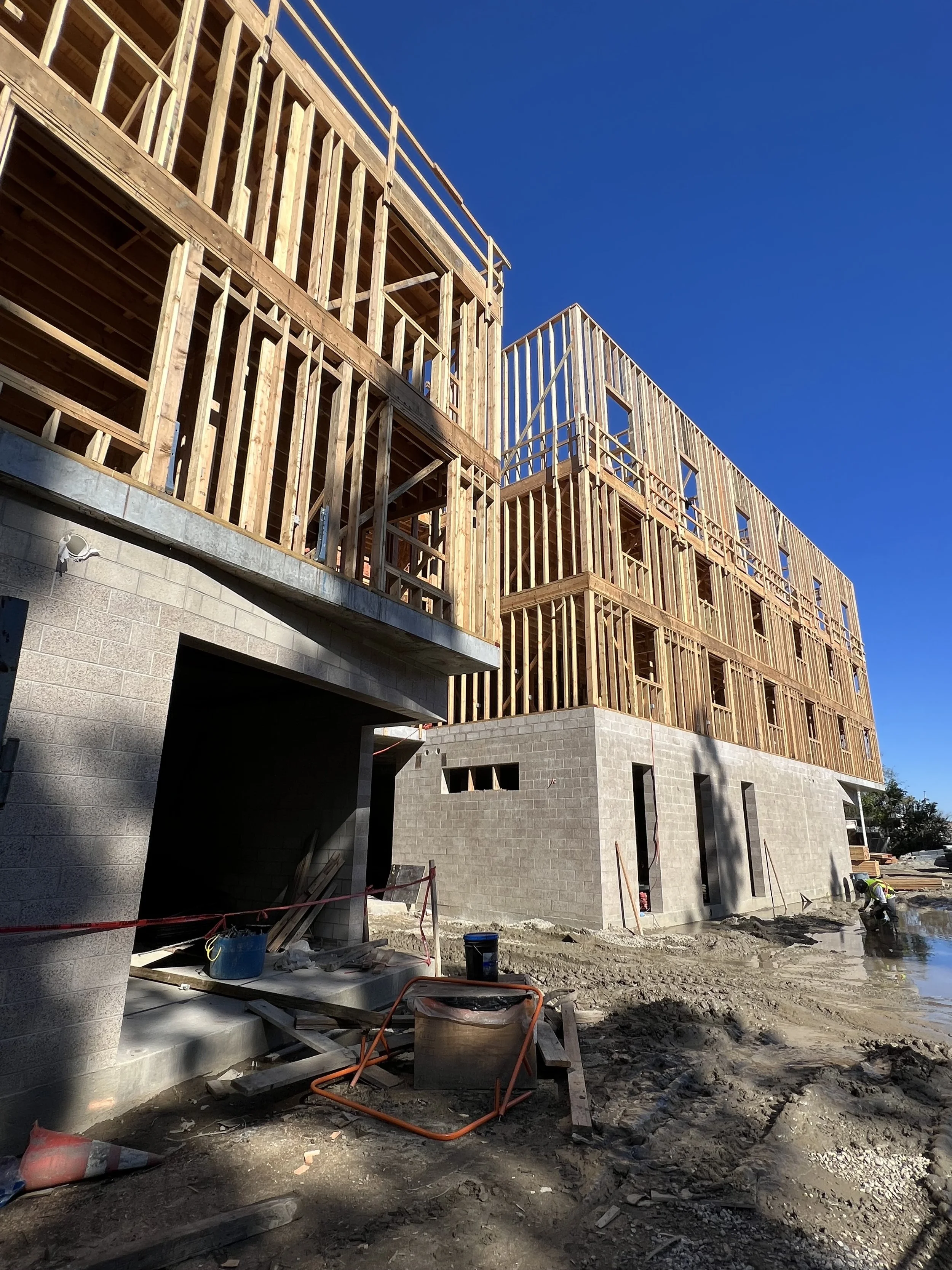 the cove — the architects collective