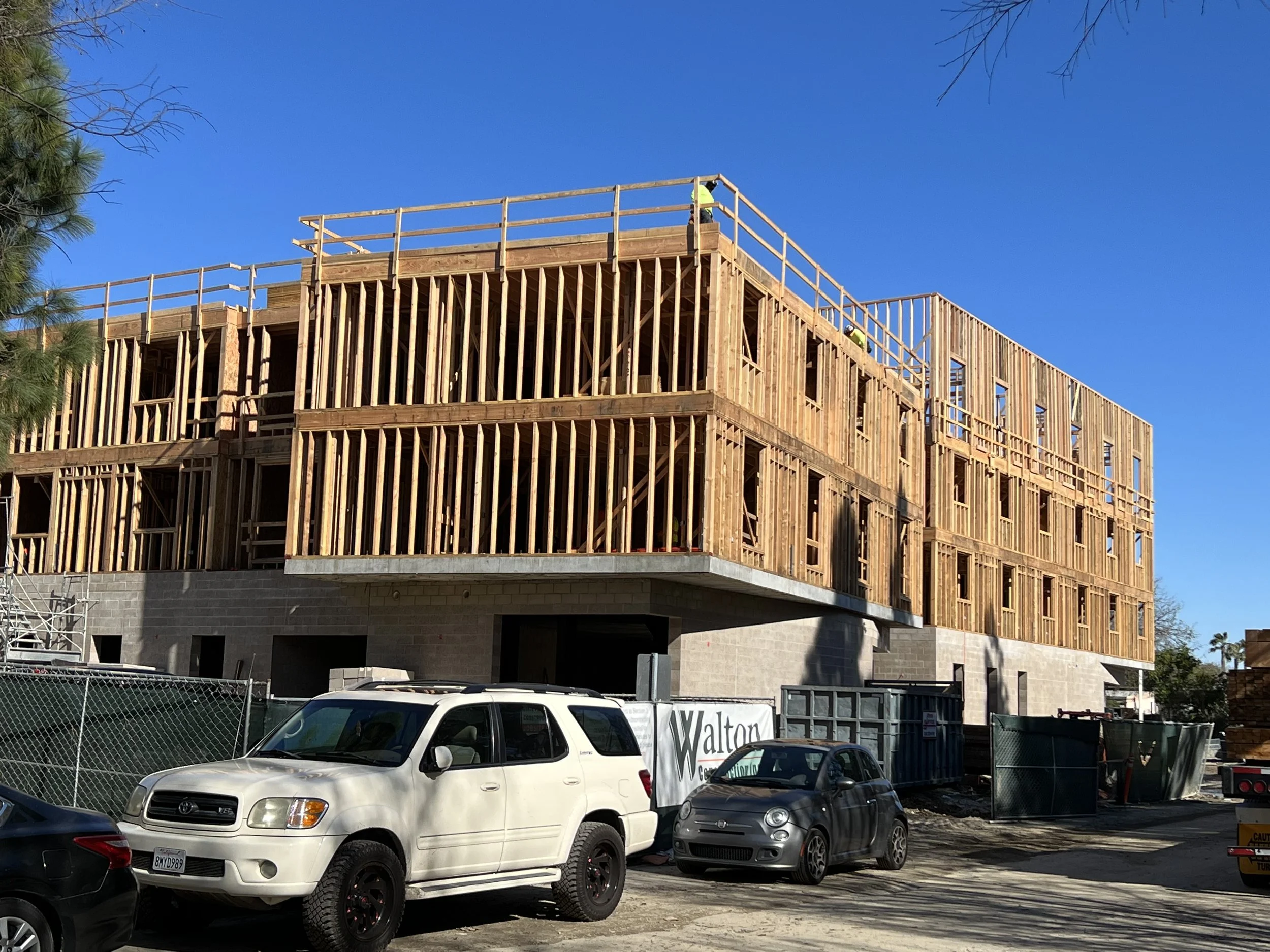 the cove — the architects collective