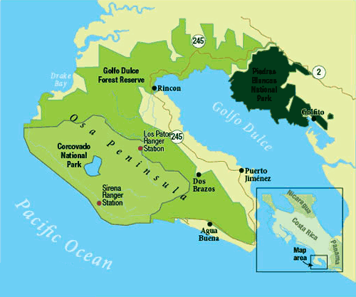 About Golfito, Costa Rica - it enjoys the same wildlife as the Osa ...