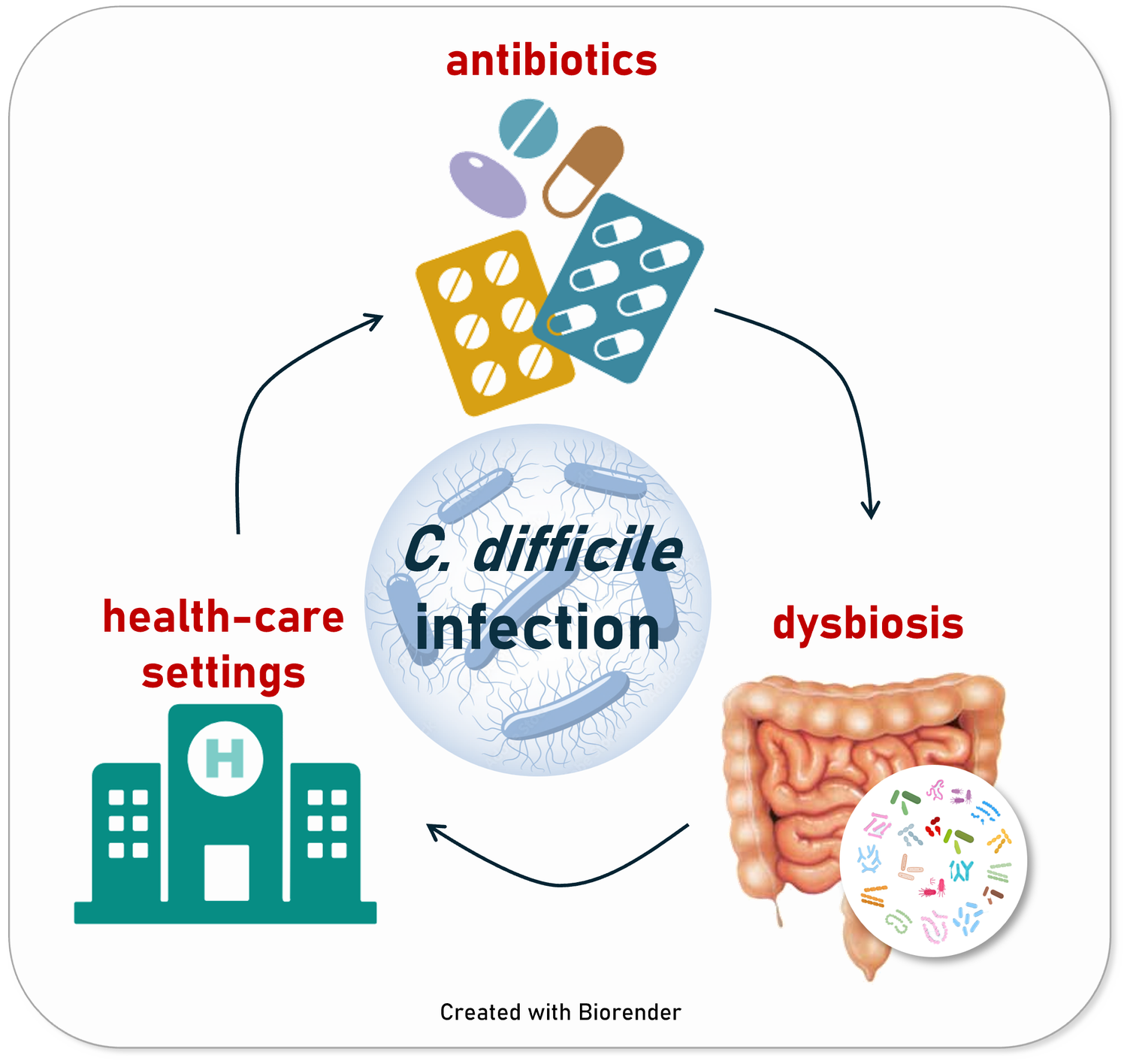C. difficile and the Cobra Effect: When Good Intentions Backfire ...