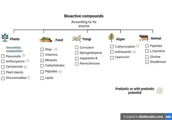 Do all bioactive compounds act as prebiotics? — ISAPP Students and ...