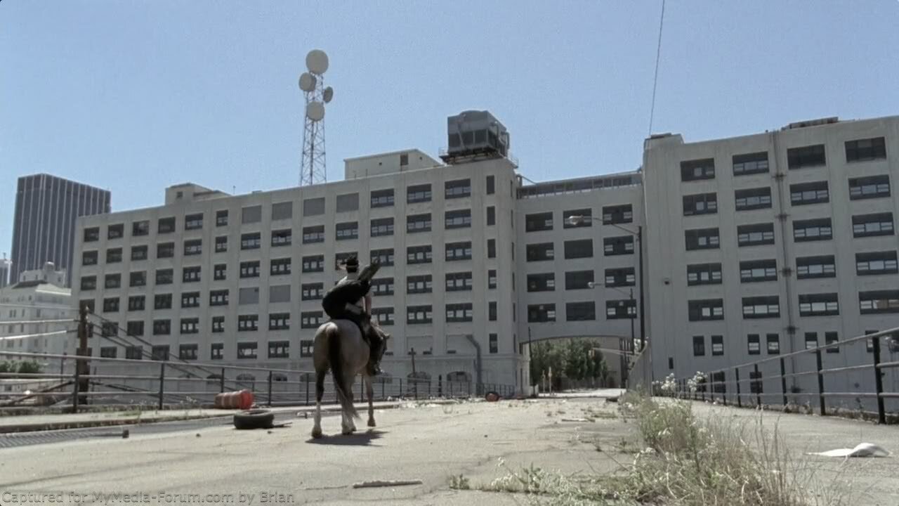 Walking Dead in the City — DTOURS