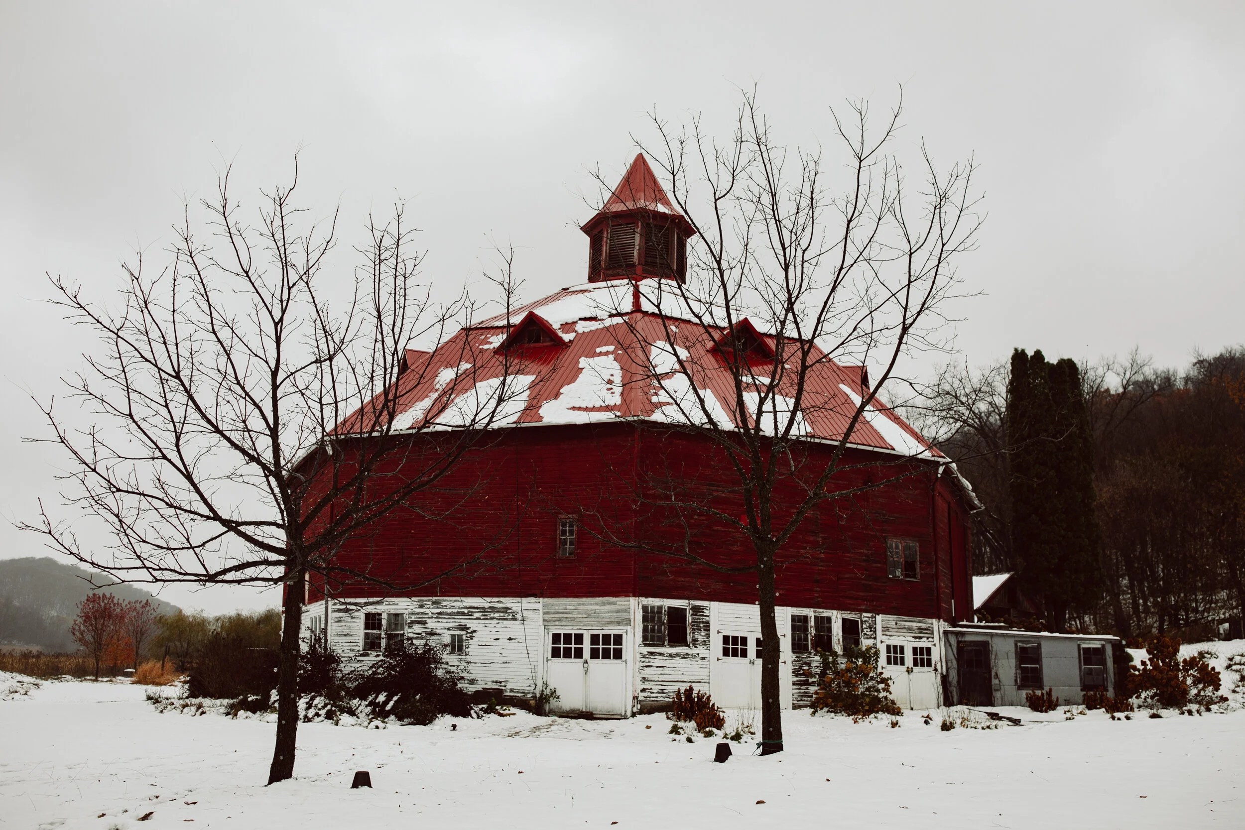 Moody Winter Elopement in Maiden Rock, Wisconsin | Hidden Meadow and ...