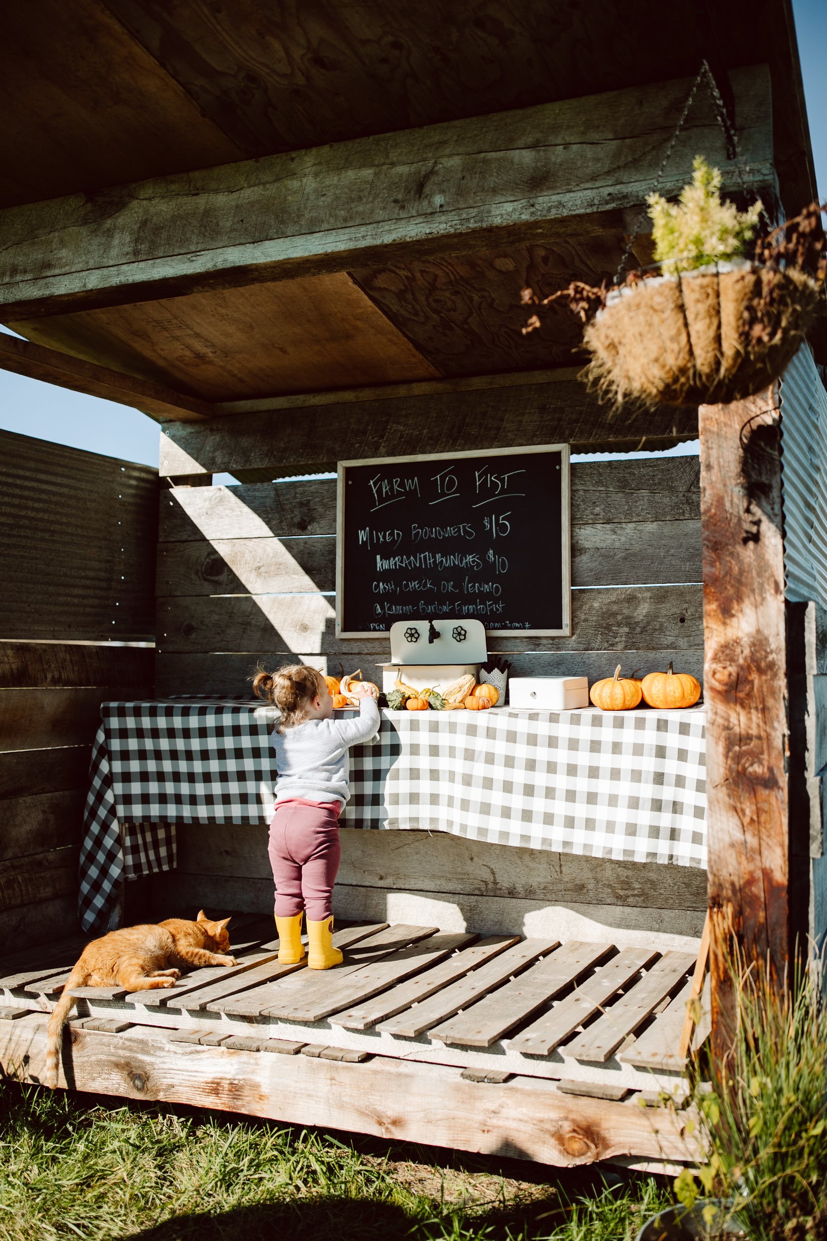 Your Family — Minnesota + Wisconsin Elopement Photographer