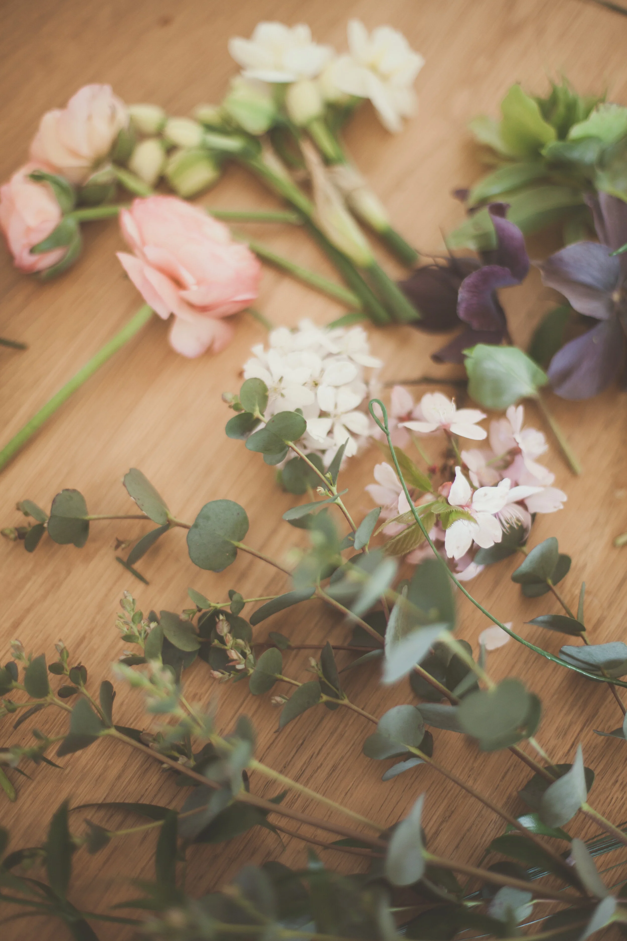 Restore & Renew — Catkin Flowers