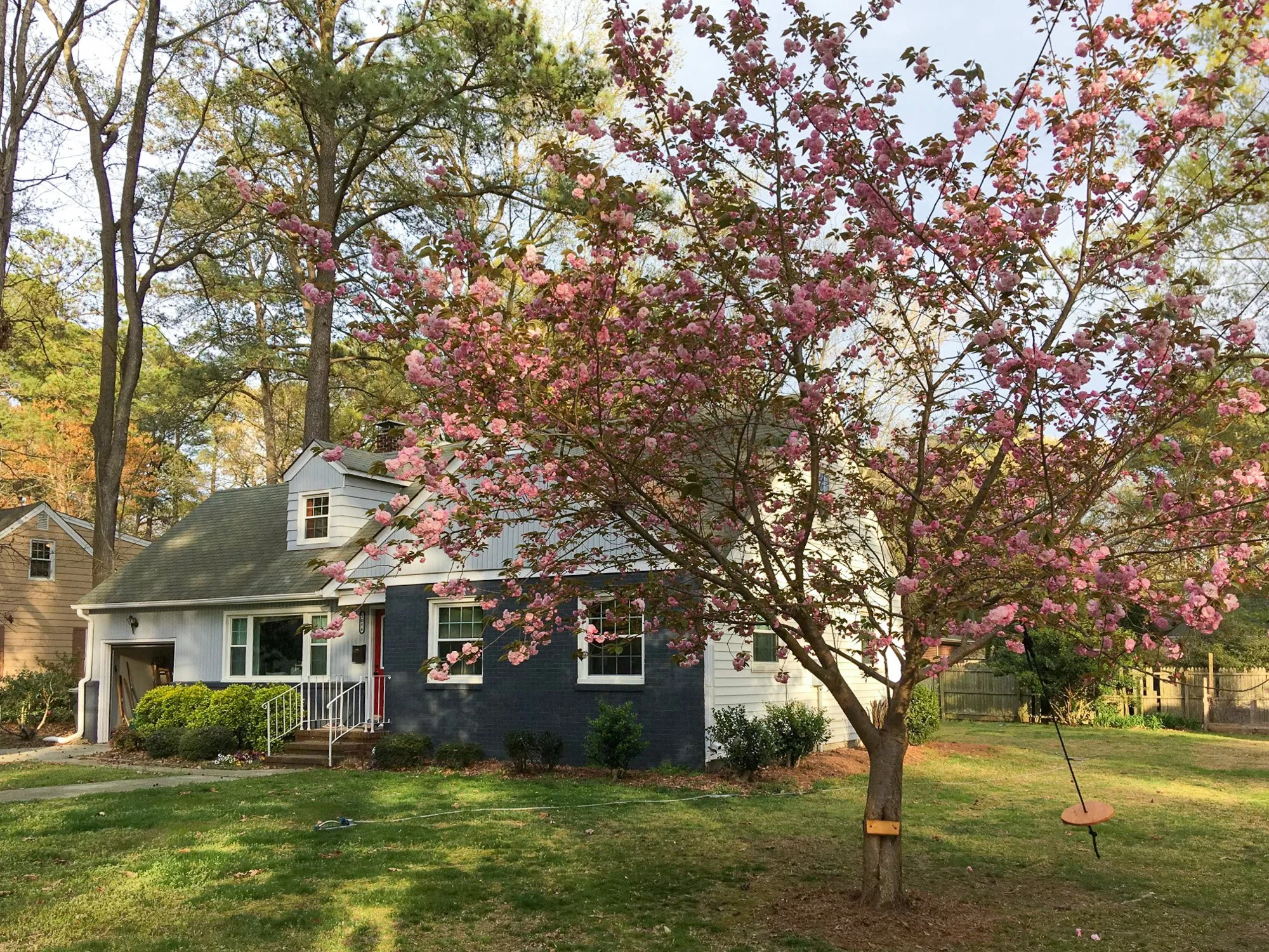Listings — Sarah Marchese Realtor