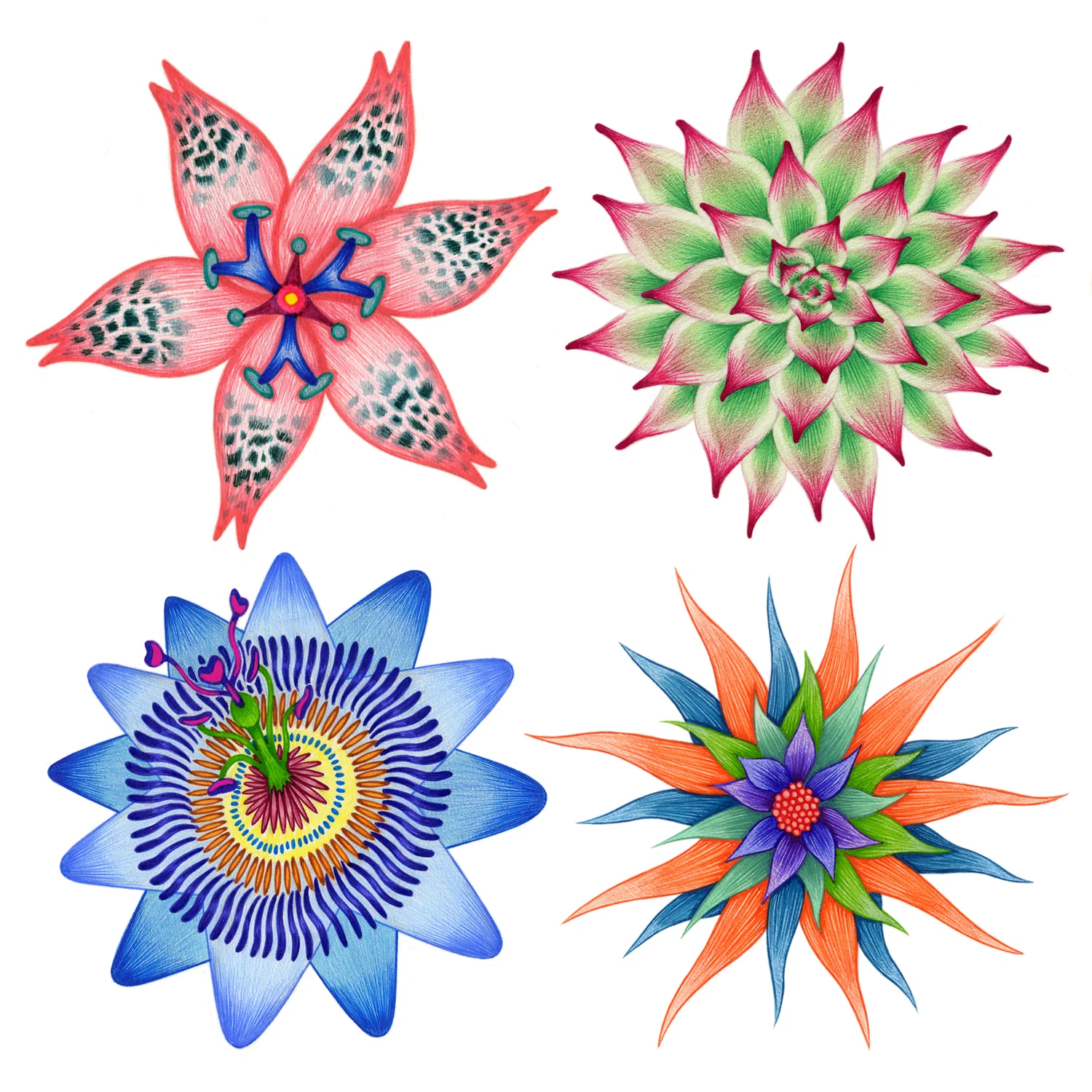 Surface Patterns — Jeaneen Carlino