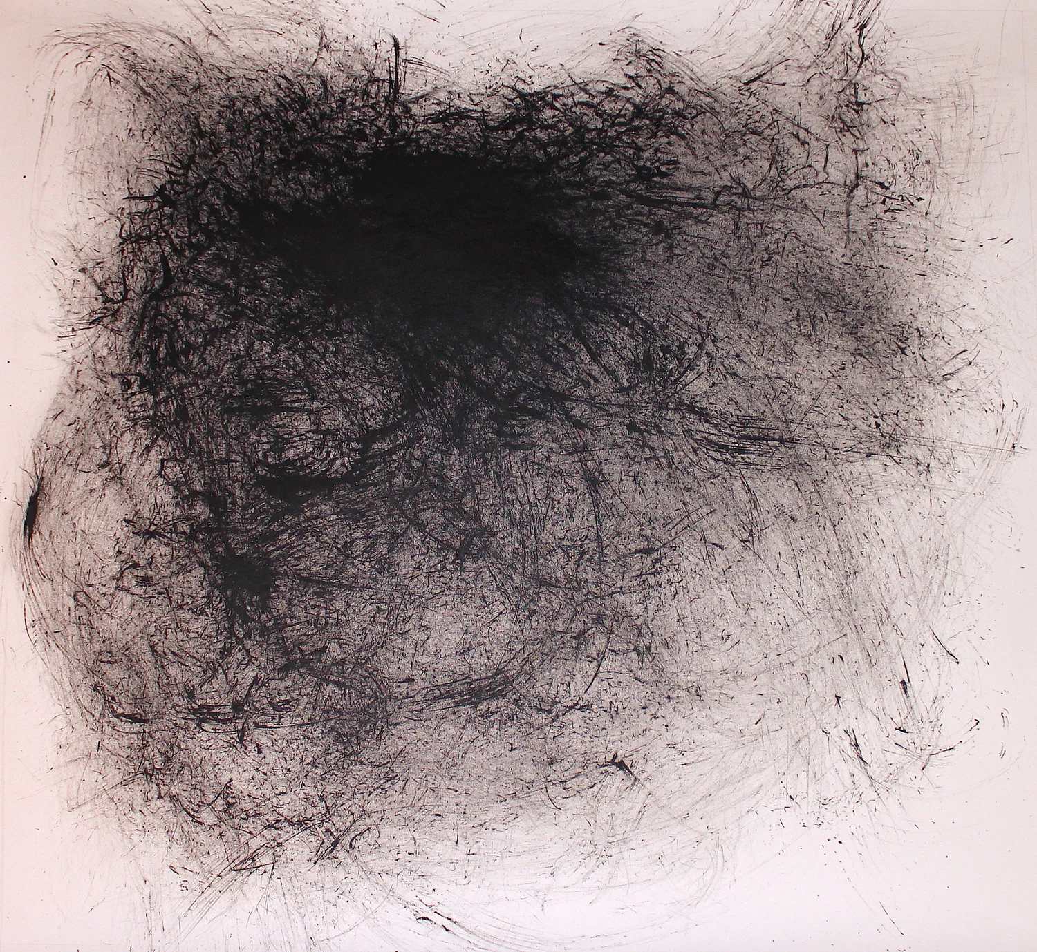 Indian Ink Illustrations