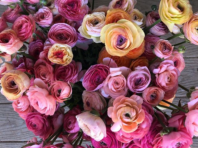 Organic Flower Farm & Florist providing wedding flowers to Durham ...