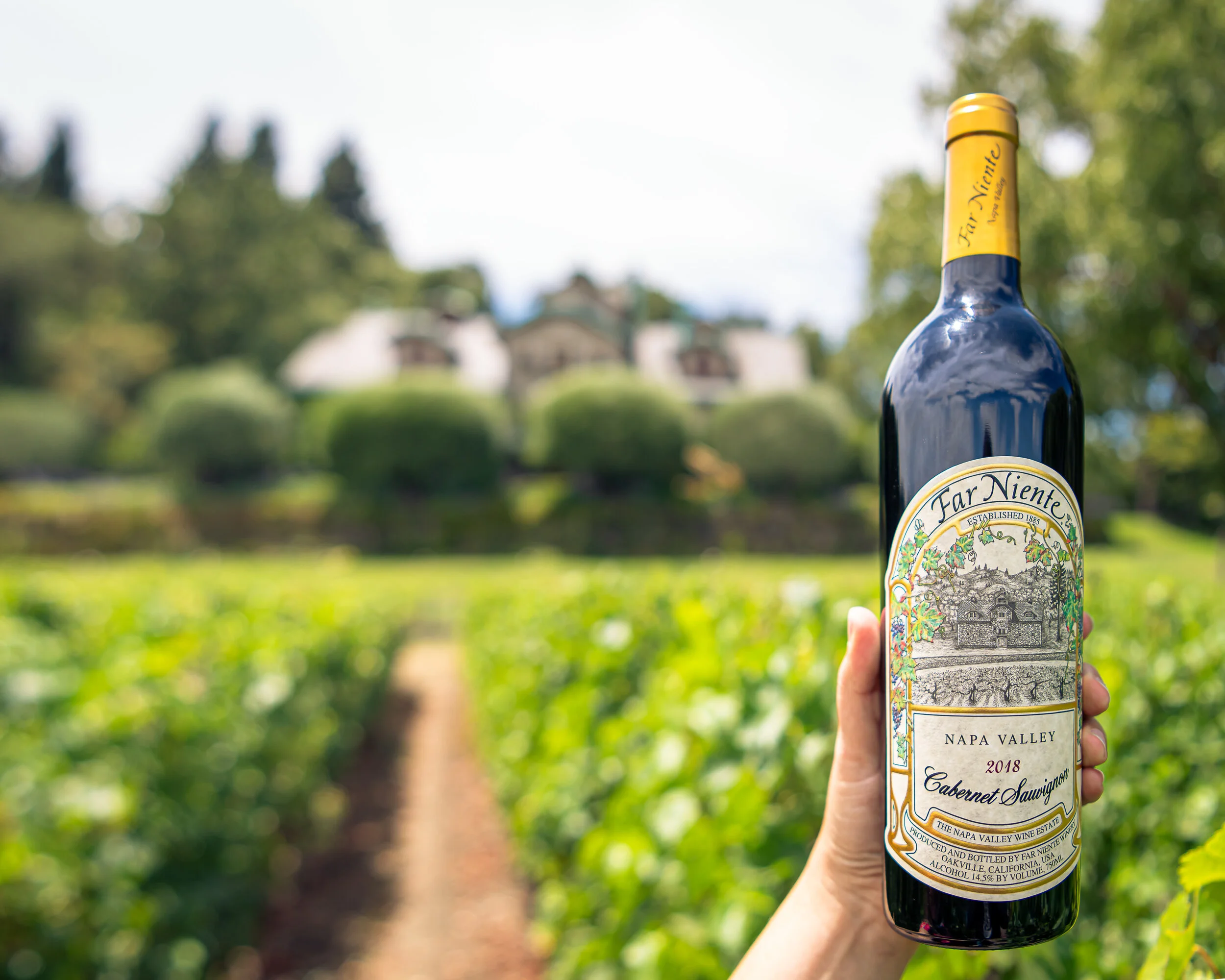 The Wine Hustle Series | Nicole Marchesi, Winemaker, Far Niente Winery ...