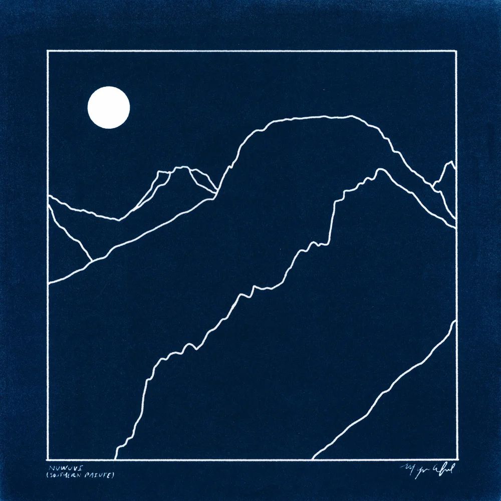 cyanotype — Megan L Crawford