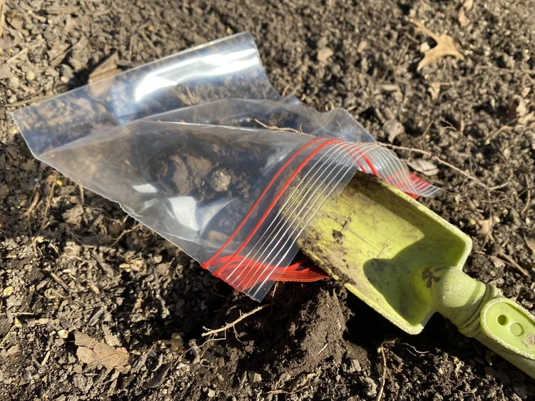 Winter Gardening — Gardening Charlotte