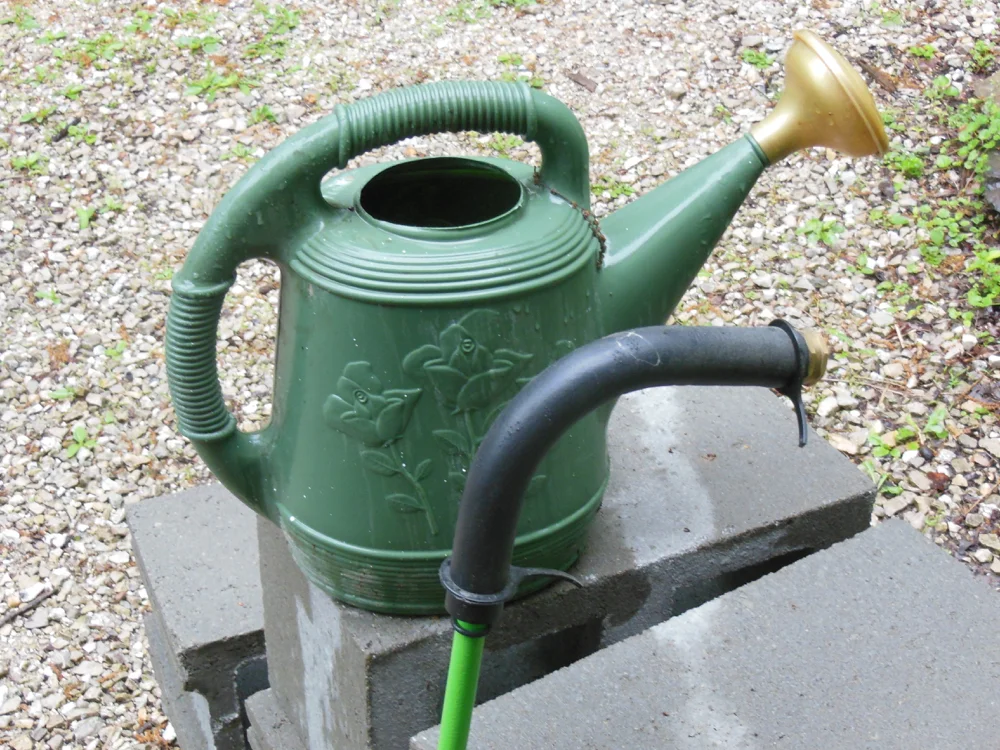 Best Summer Garden Watering Practices — Gardening Charlotte