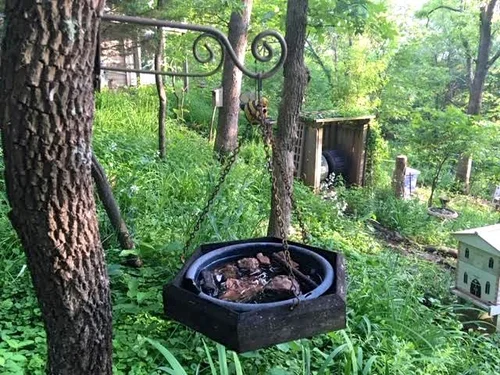 Tree Stump Bird Bath — Gardening Charlotte