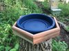Tree Stump Bird Bath — Gardening Charlotte