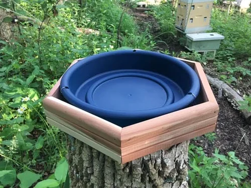 Tree Stump Bird Bath — Gardening Charlotte