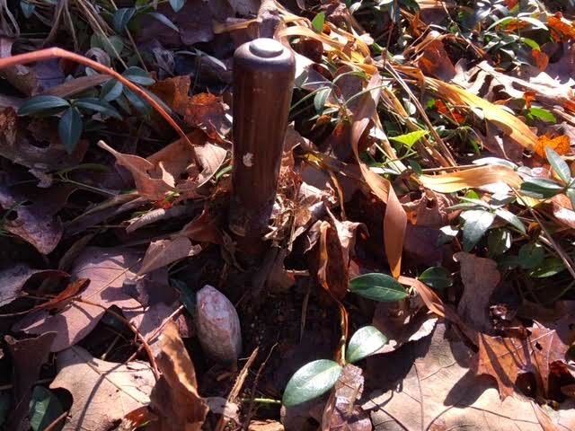 Tree Spikes — Gardening Charlotte
