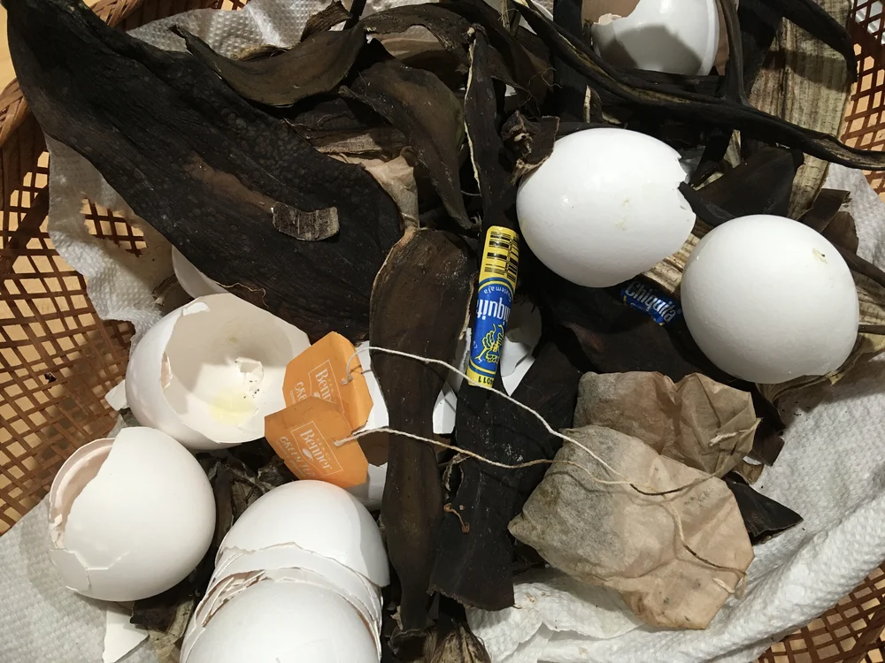 Homemade Rose Food — Gardening Charlotte