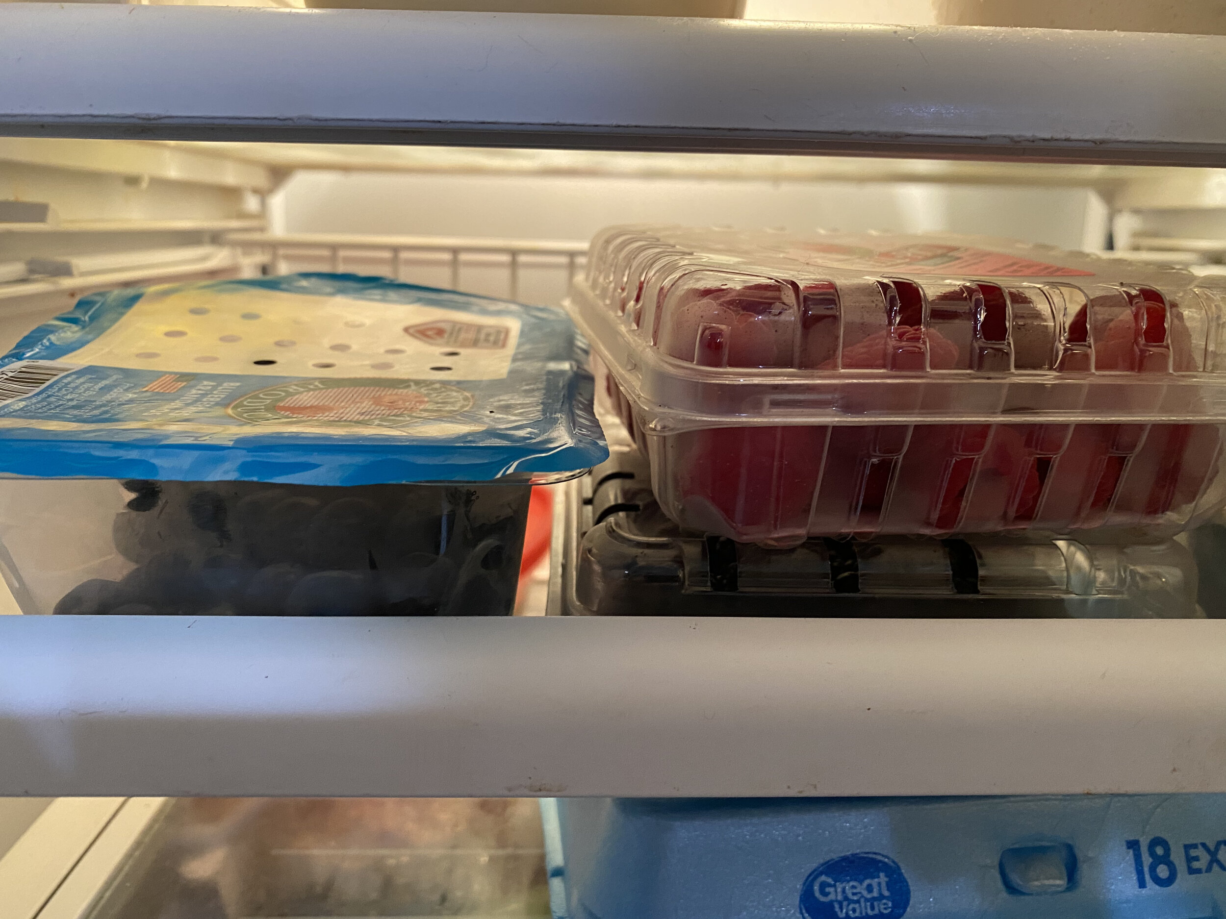 Clam Shell Guards — Gardening Charlotte