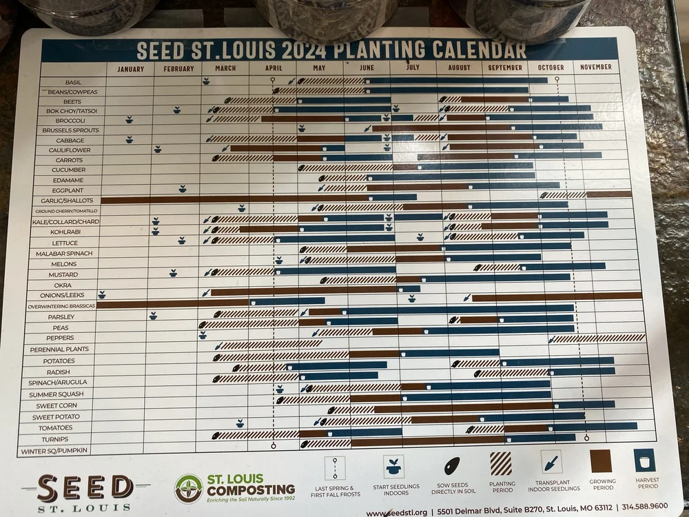 Spring Garden Tips — Gardening Charlotte