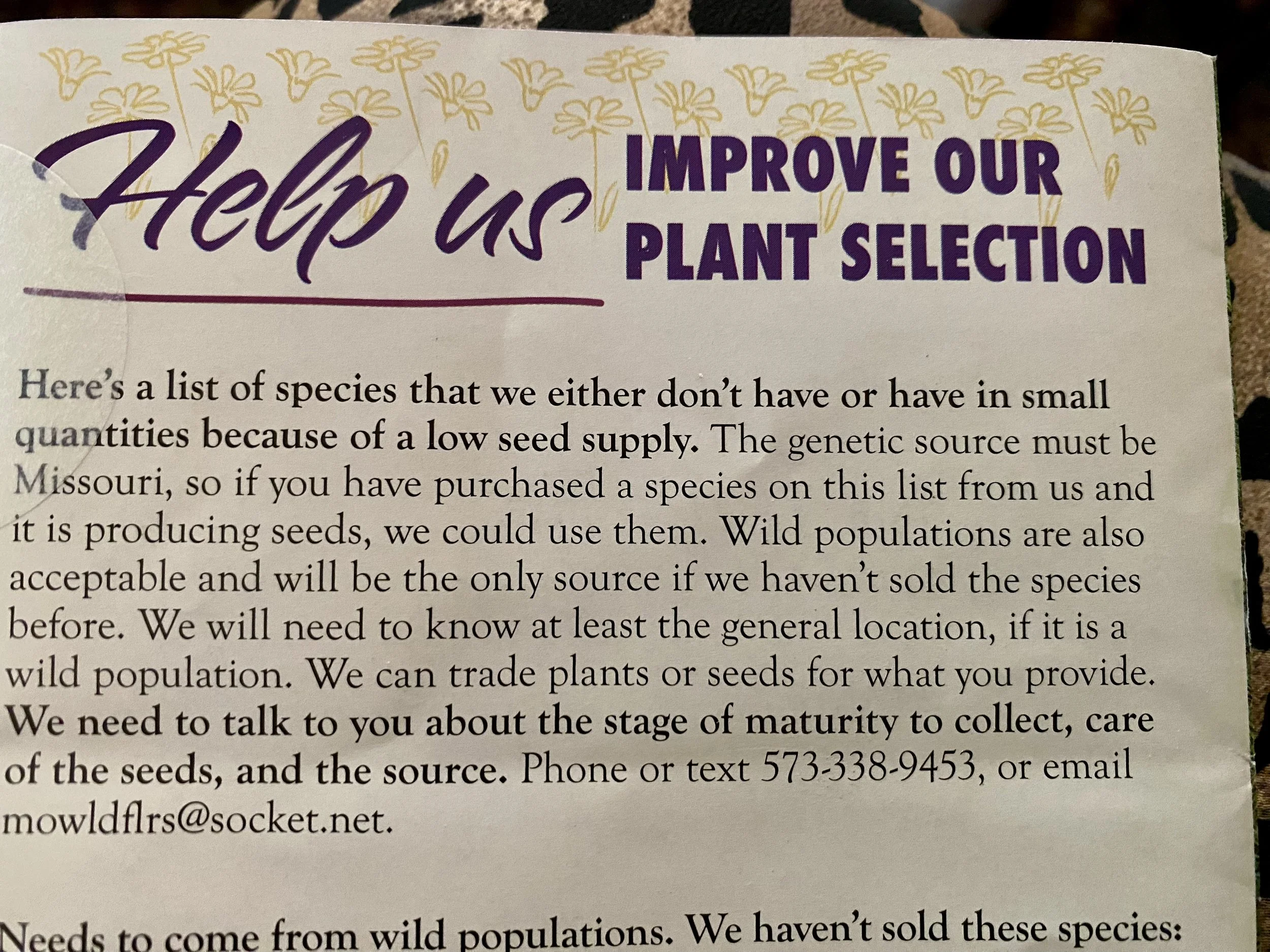 Do You Have Native Seeds? — Gardening Charlotte