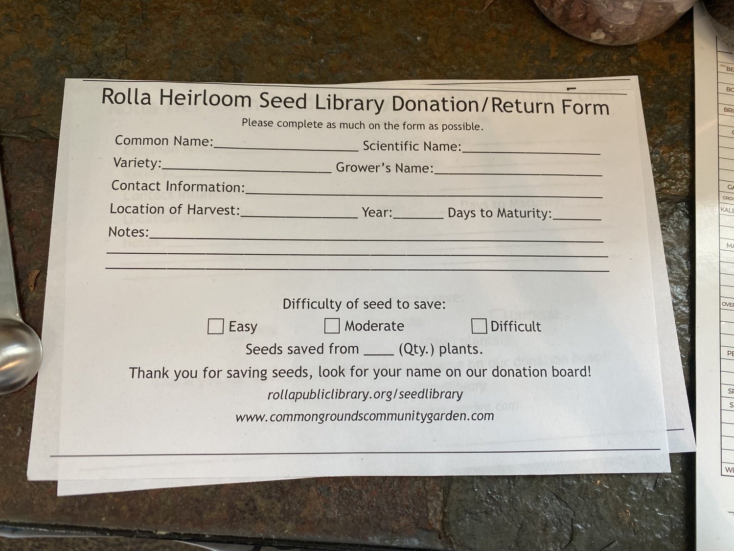 Spring Garden Tips — Gardening Charlotte