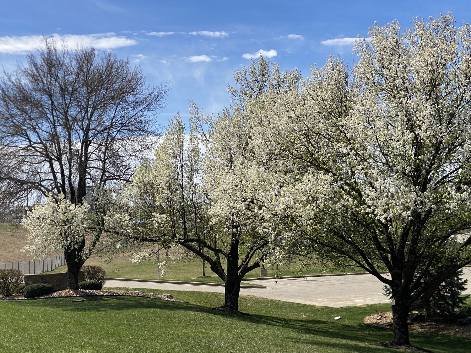 Tips on spring gardening in USDA zone 6b gardens. — Gardening Charlotte