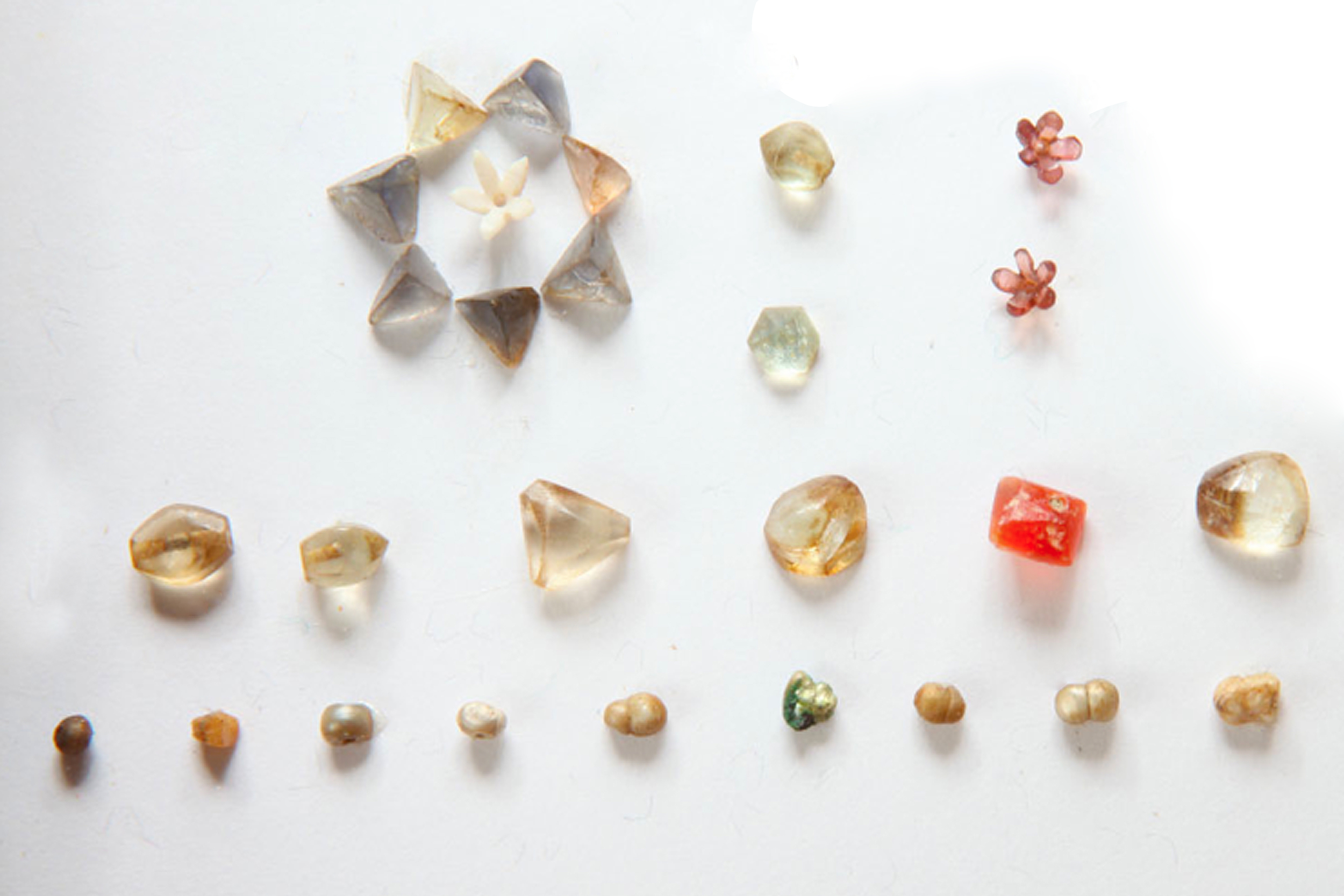 THE PIPRAHWA PROJECT The Piprahwa Jewels