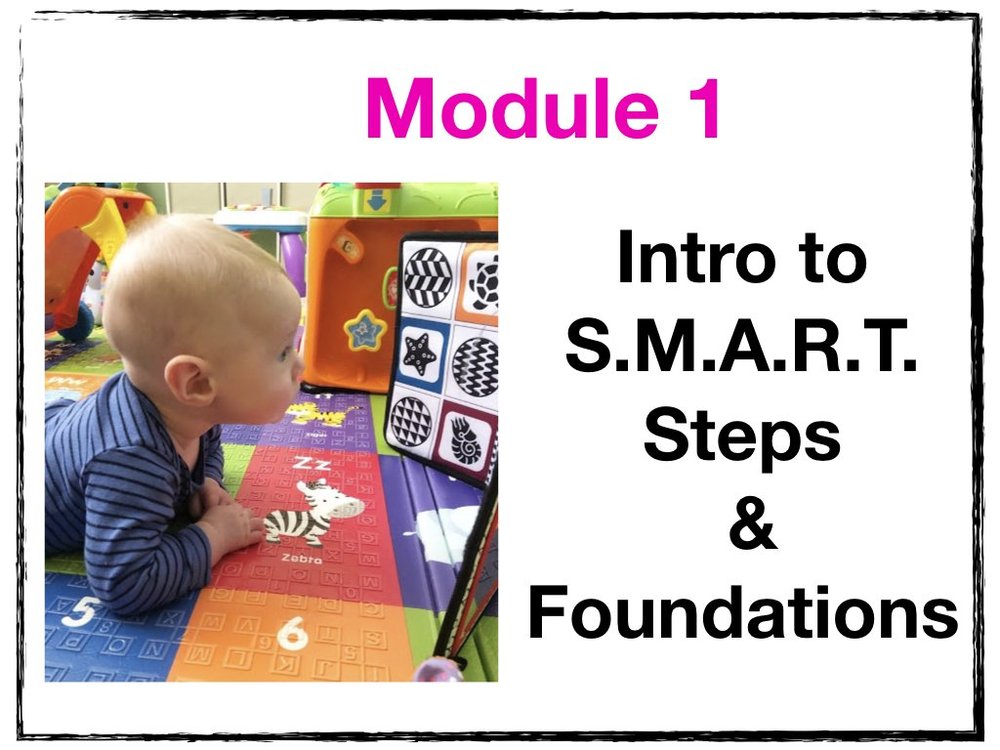 S.M.A.R.T. Steps 0 - 5 — BSMART