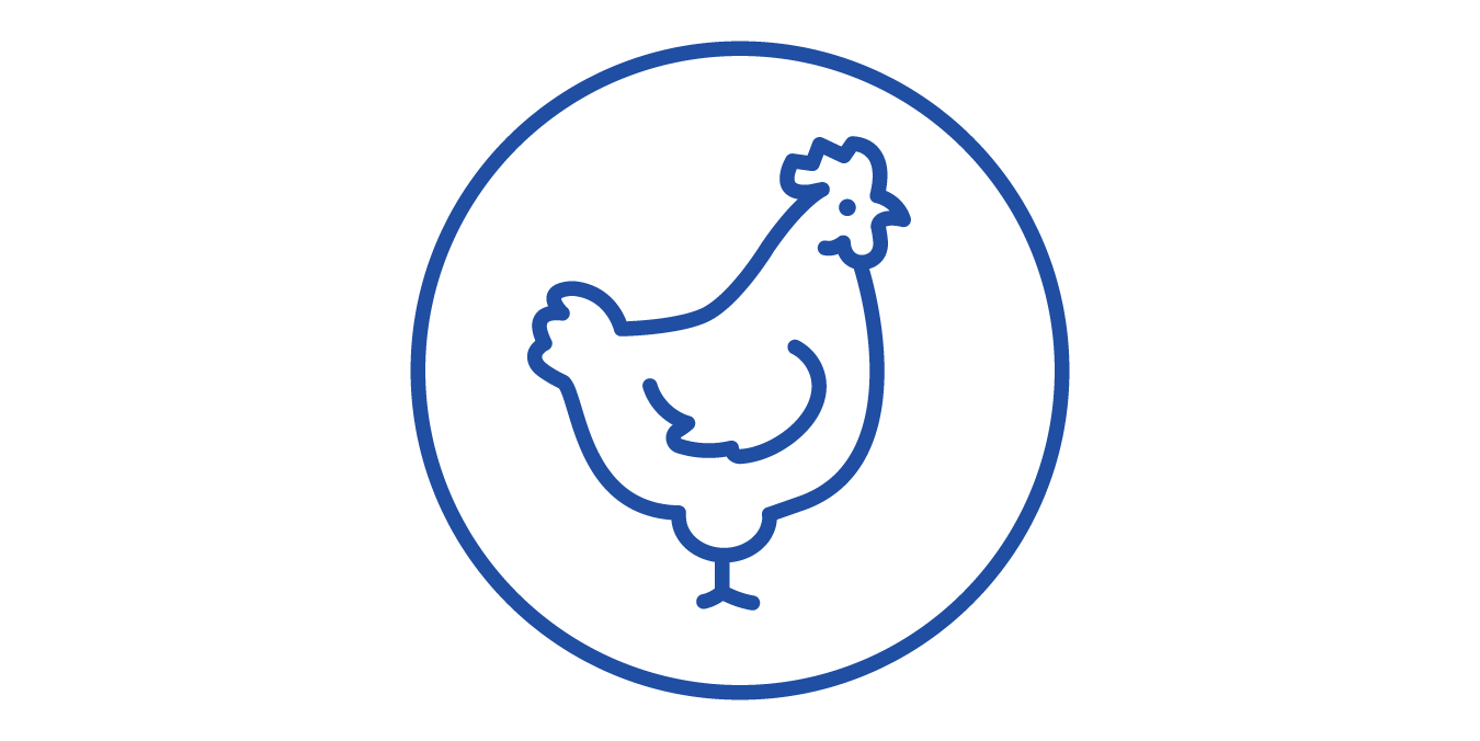 Branding — Simmons Foods