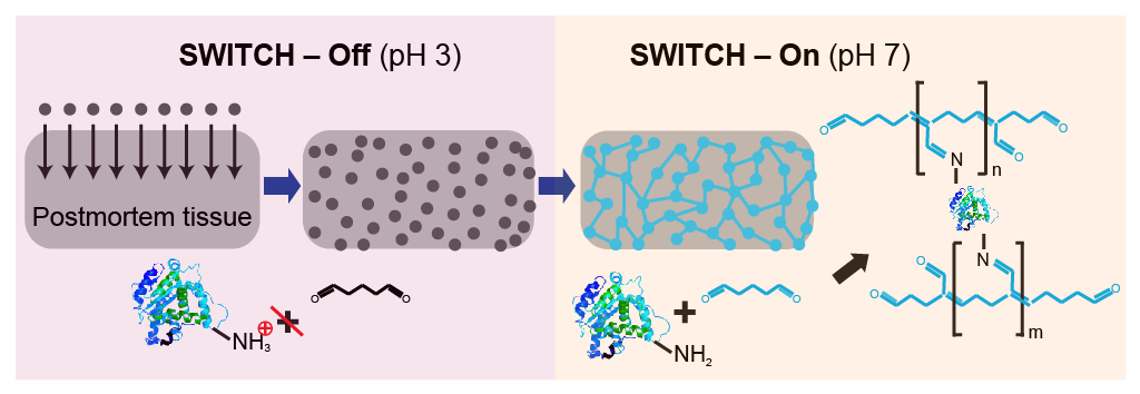 Fixation Protocol — Chung Lab Resources