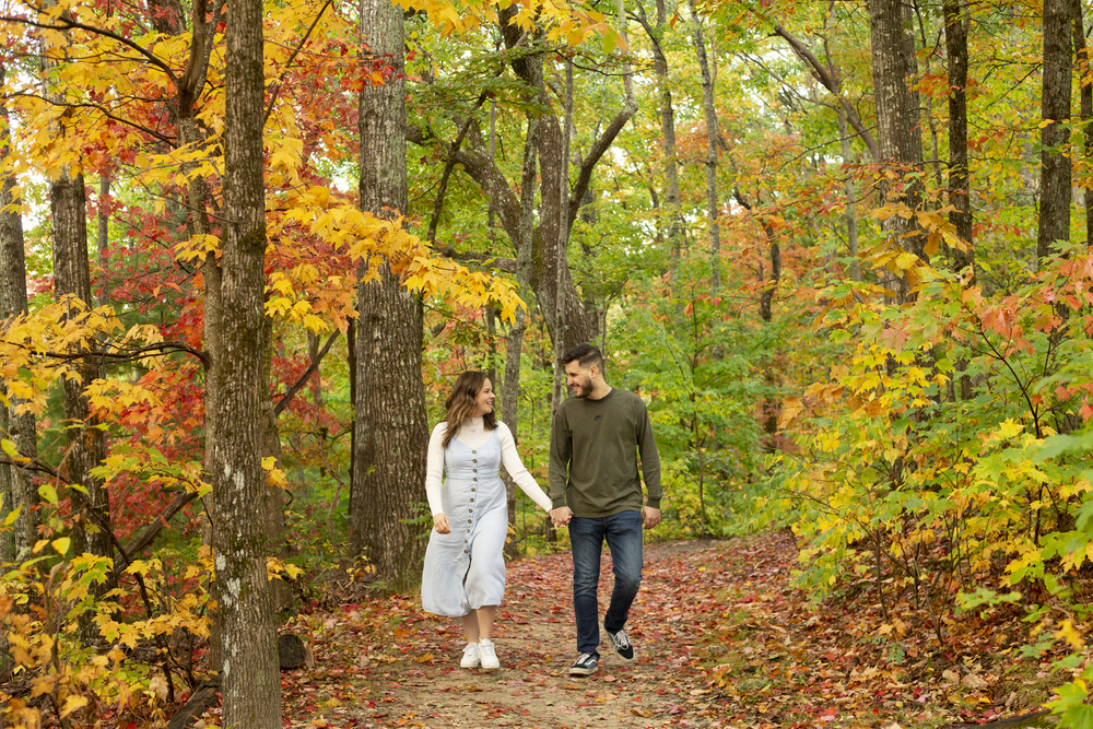 Finding Spring and Fall Colors