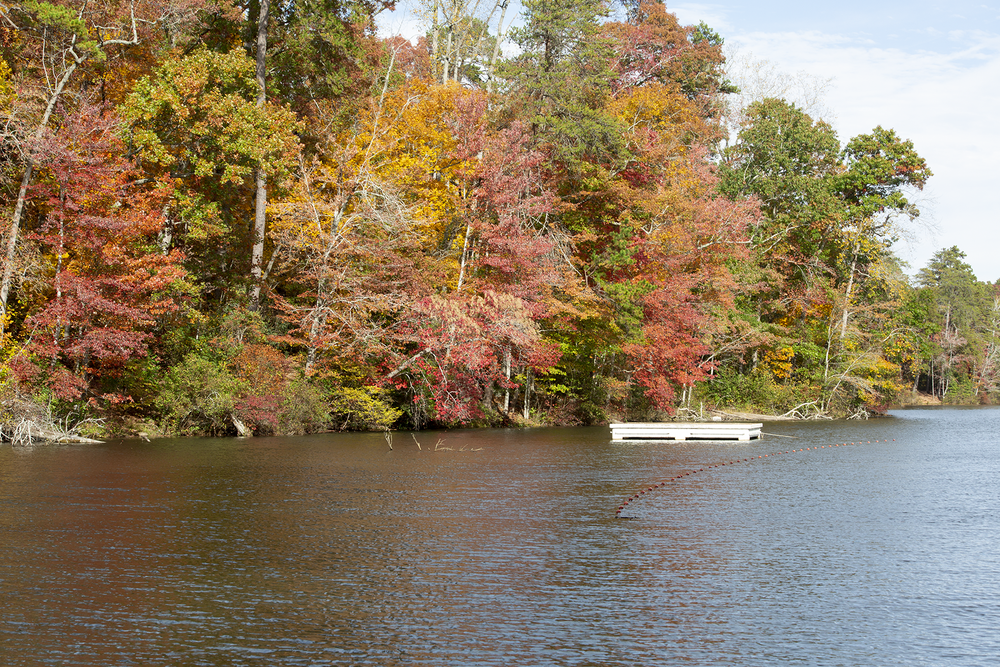 South Carolina State Parks