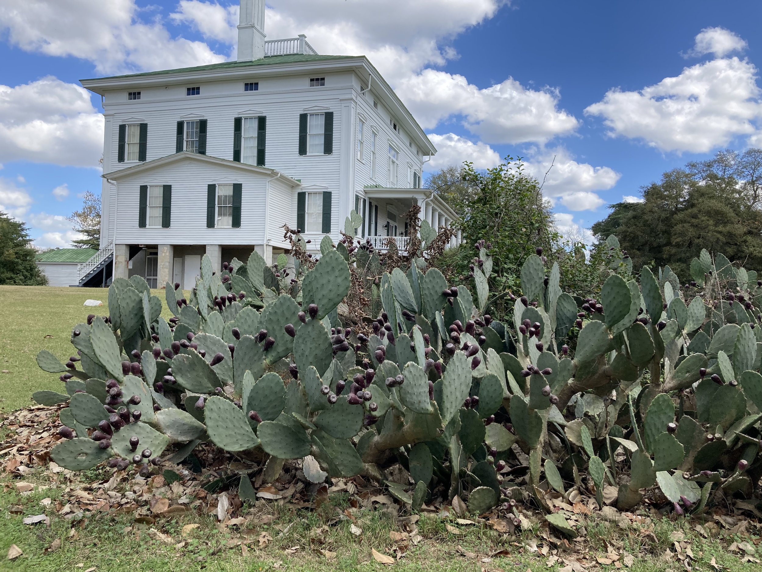 South Carolina State Parks