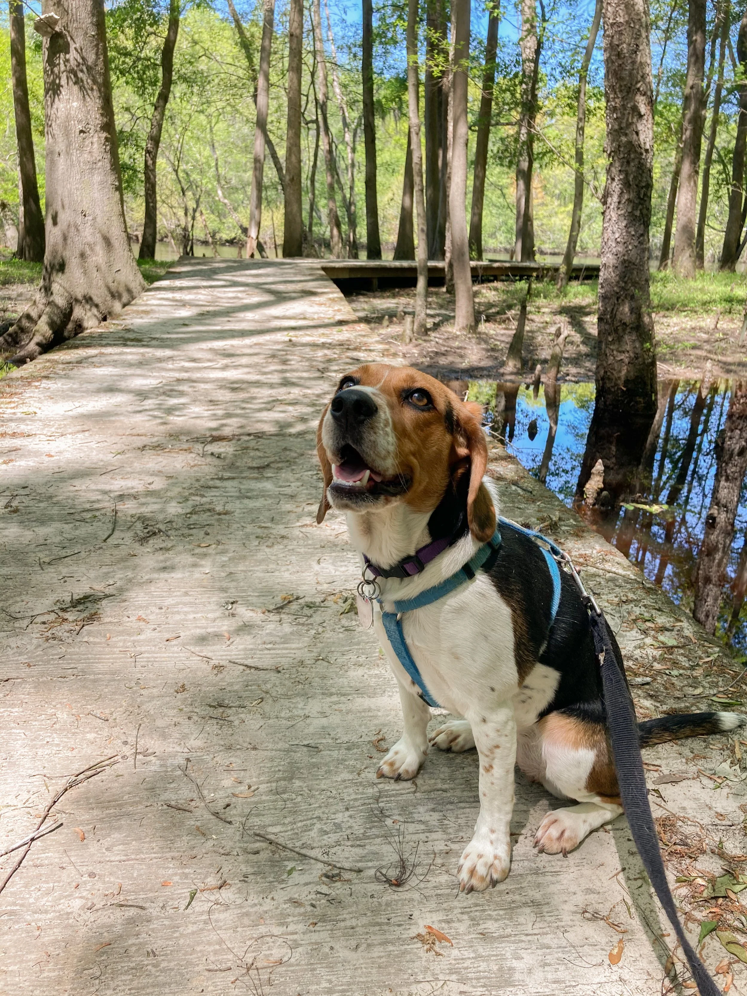 South Carolina State Parks