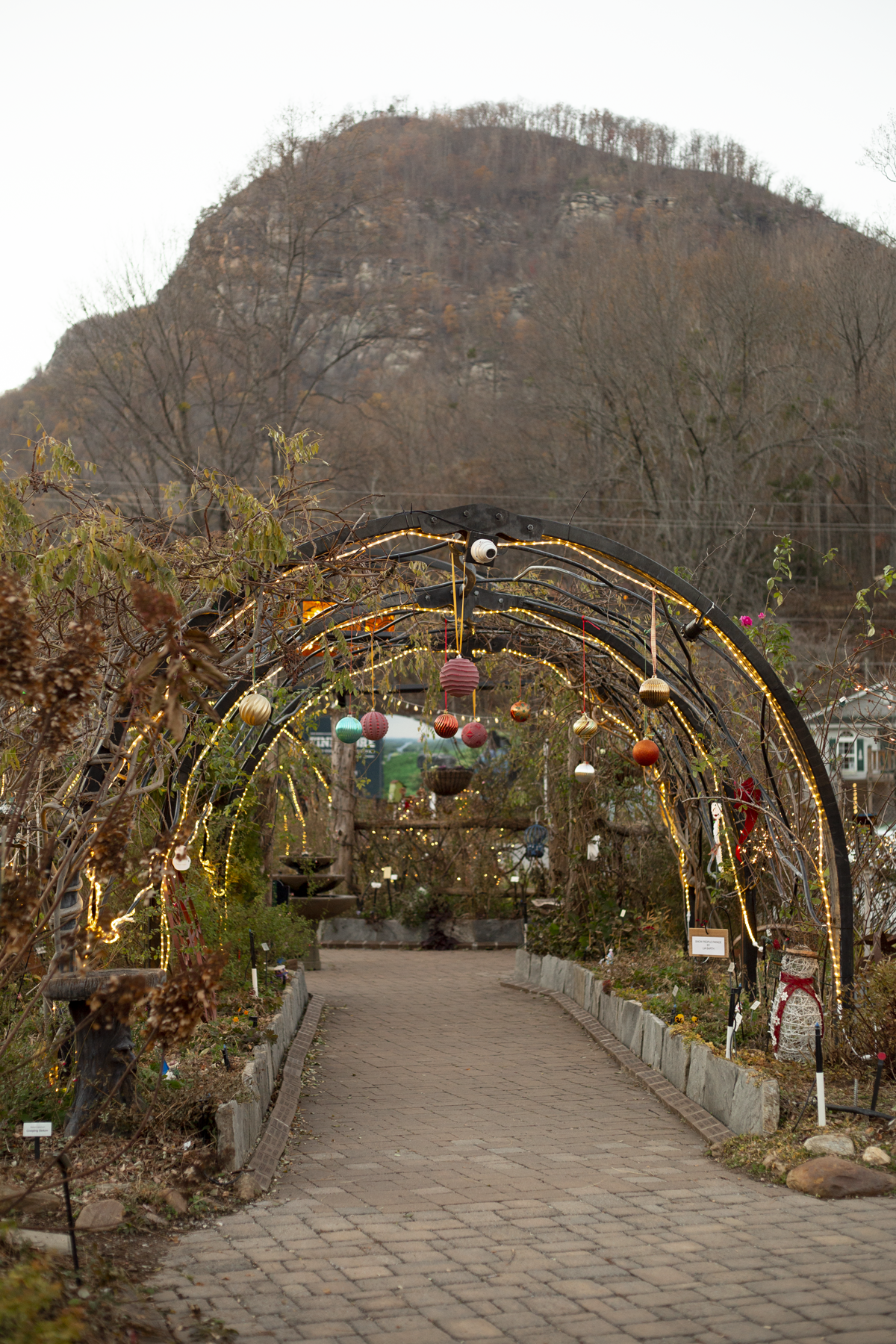 Lake Lure Flowering Bridge
