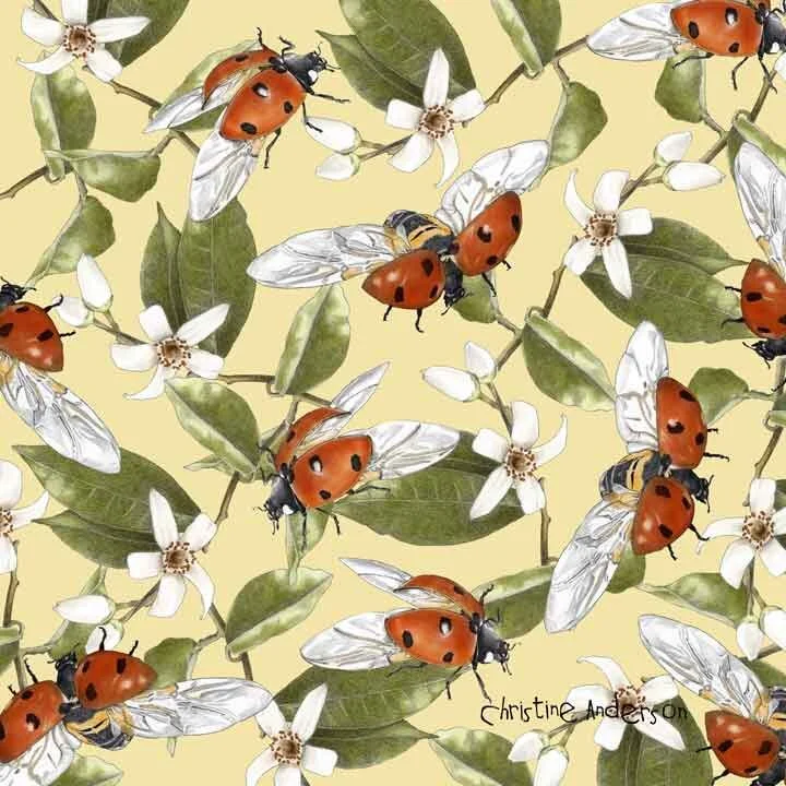 CharactersPatterns — Christine Anderson Illustration