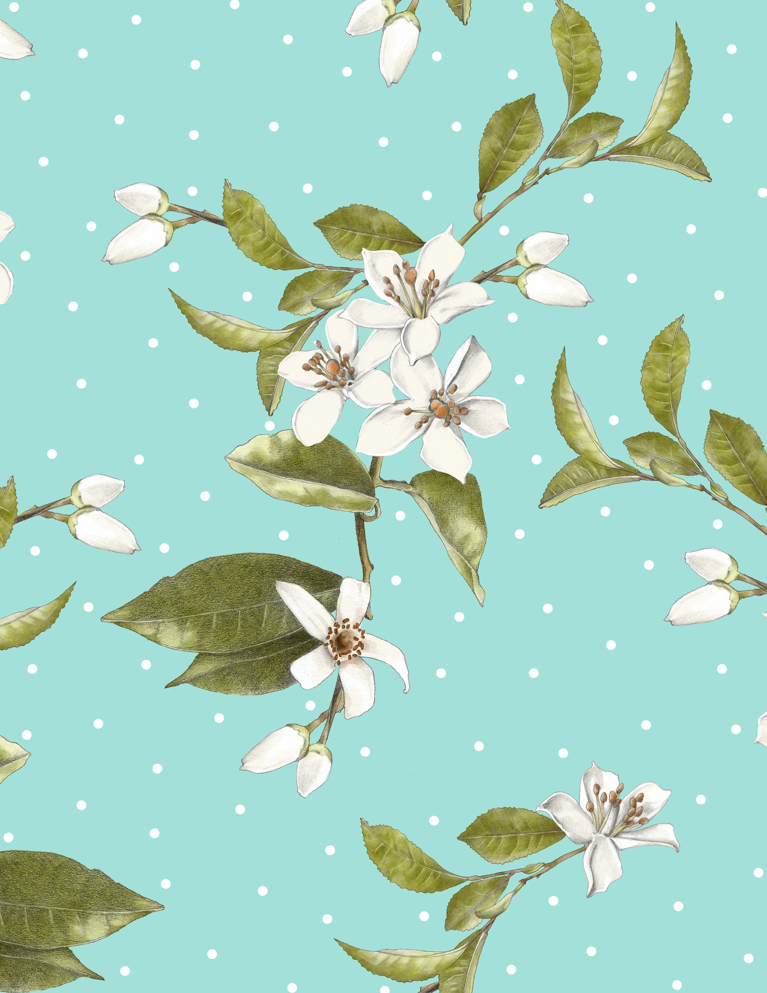 CharactersPatterns — Christine Anderson Illustration