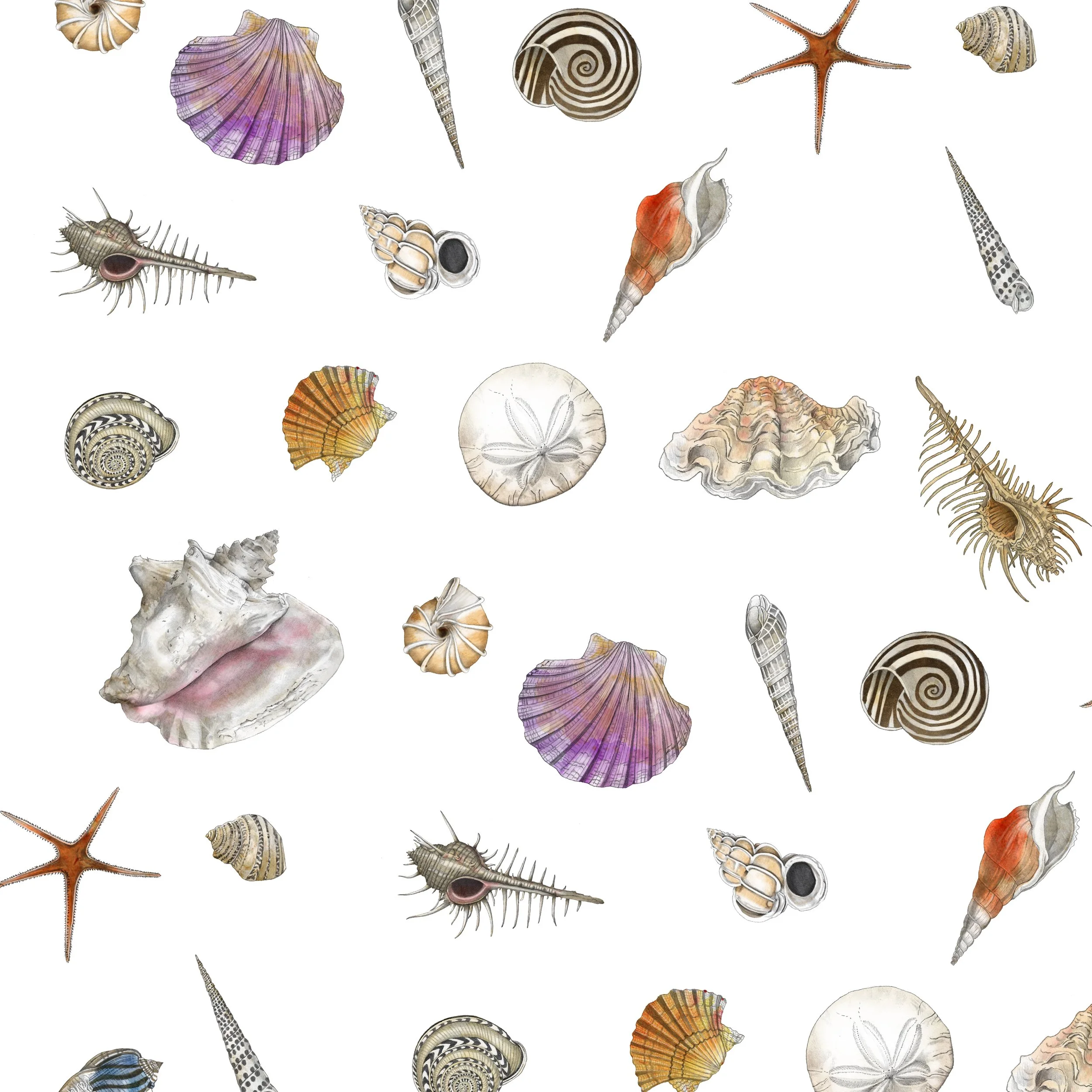 CharactersPatterns — Christine Anderson Illustration