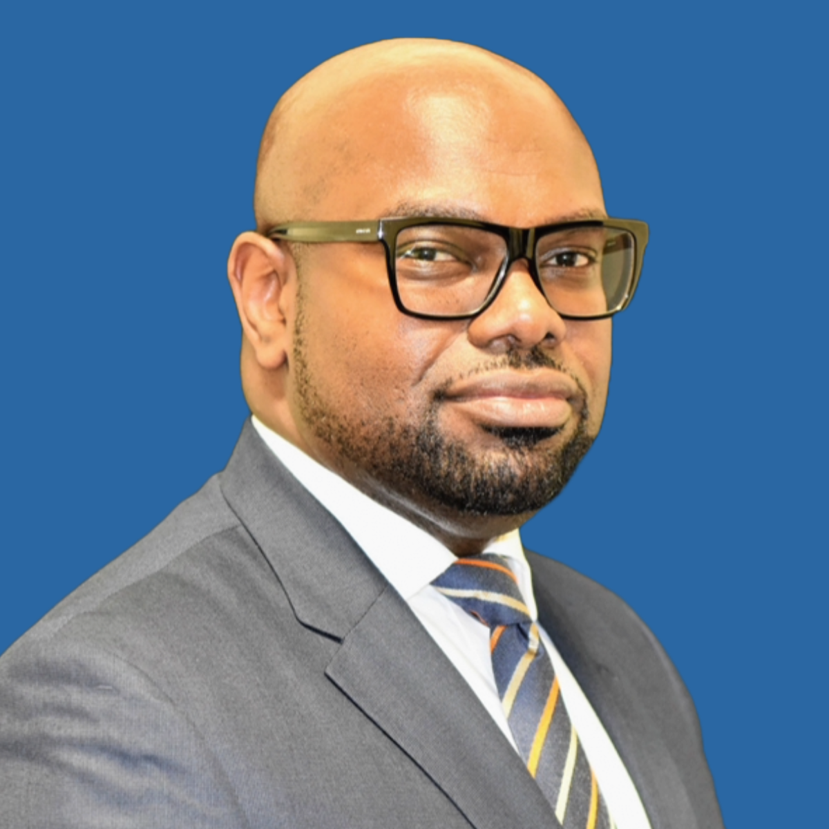 Who We Are — National Association of Health Services Executives