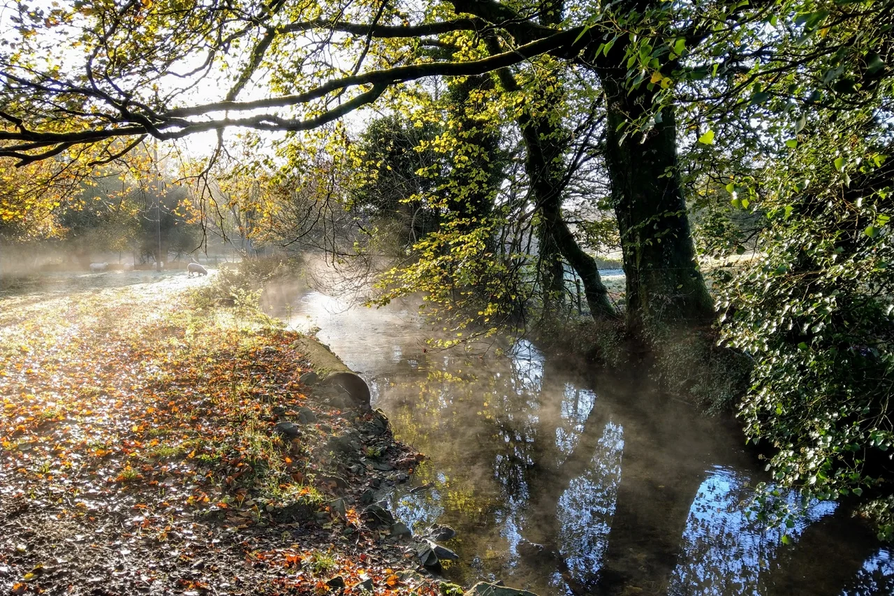 Family & Child Friendly Holiday Cottages in Devon - Knowle Farm