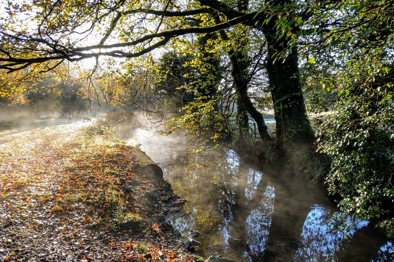 Family & Child Friendly Holiday Cottages in Devon - Knowle Farm