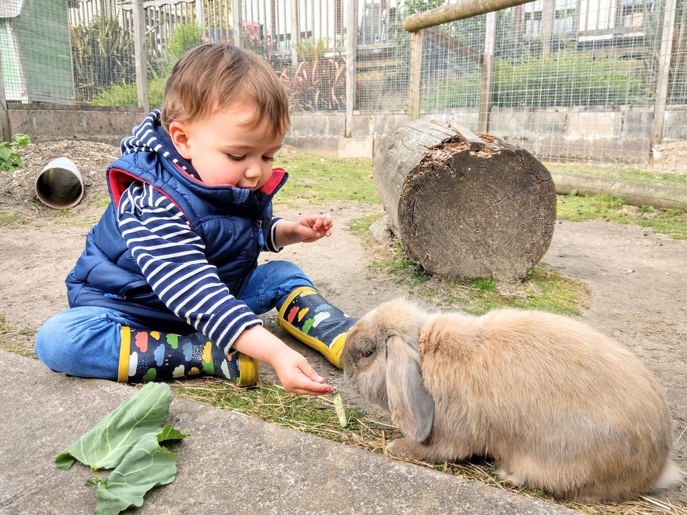 Family & Child Friendly Holiday Cottages in Devon - Knowle Farm