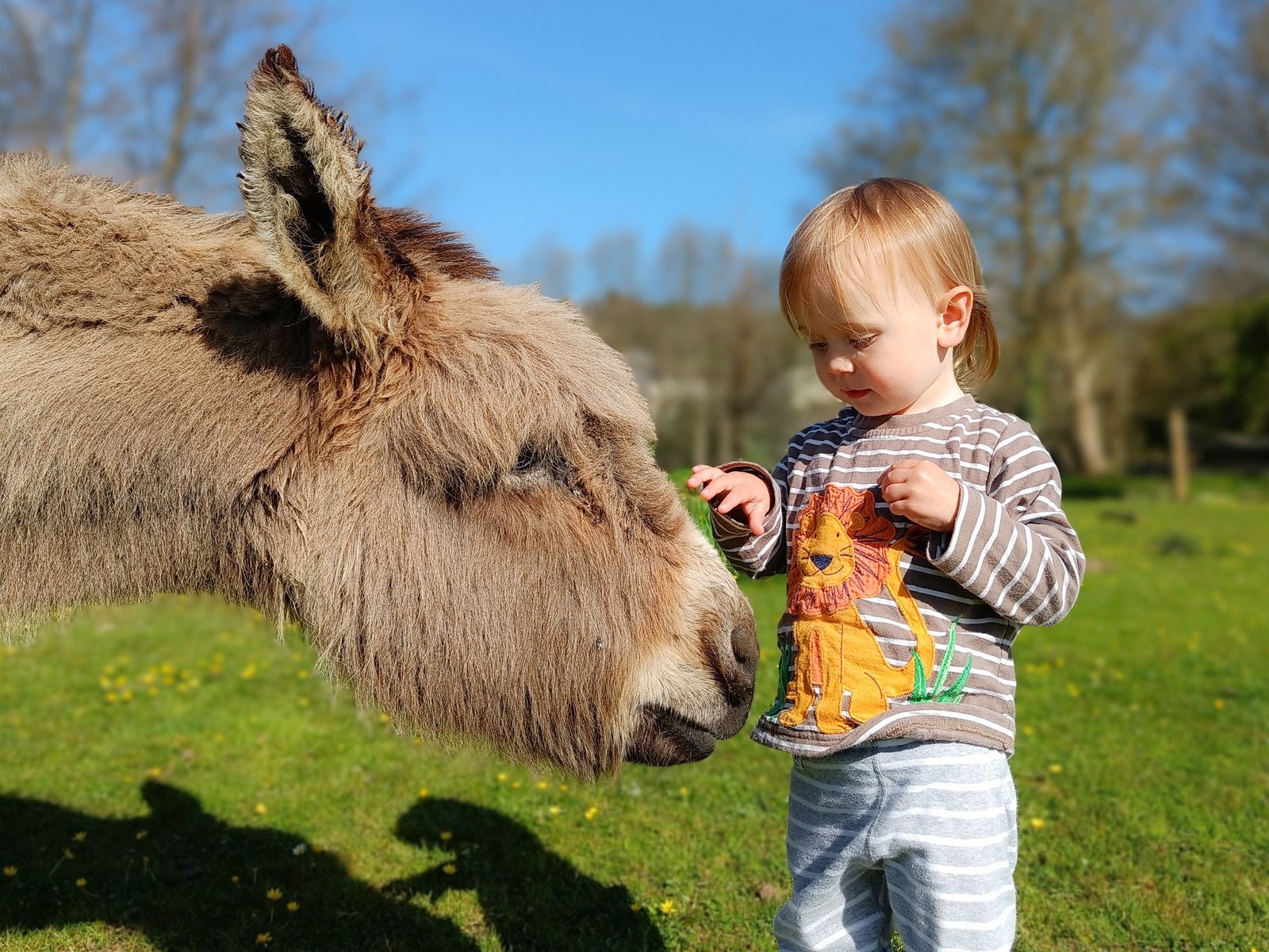 Family & Child Friendly Holiday Cottages in Devon - Knowle Farm