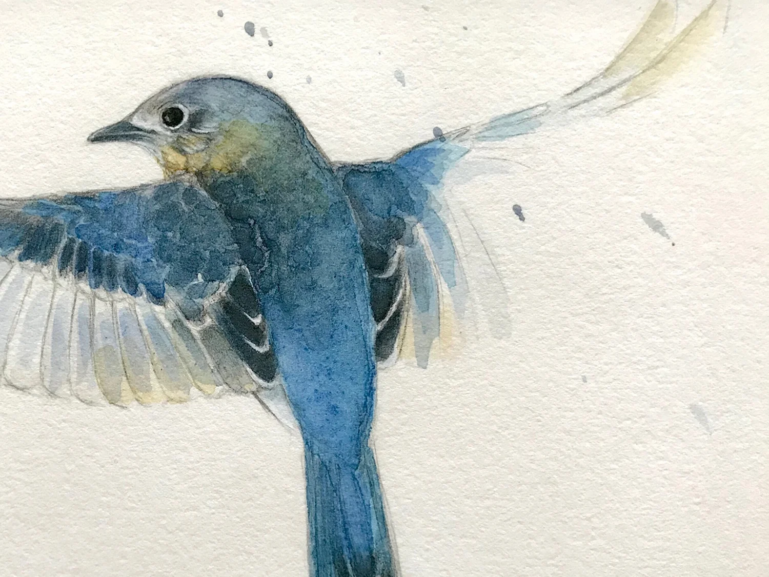 Flying Blue Bird Painting