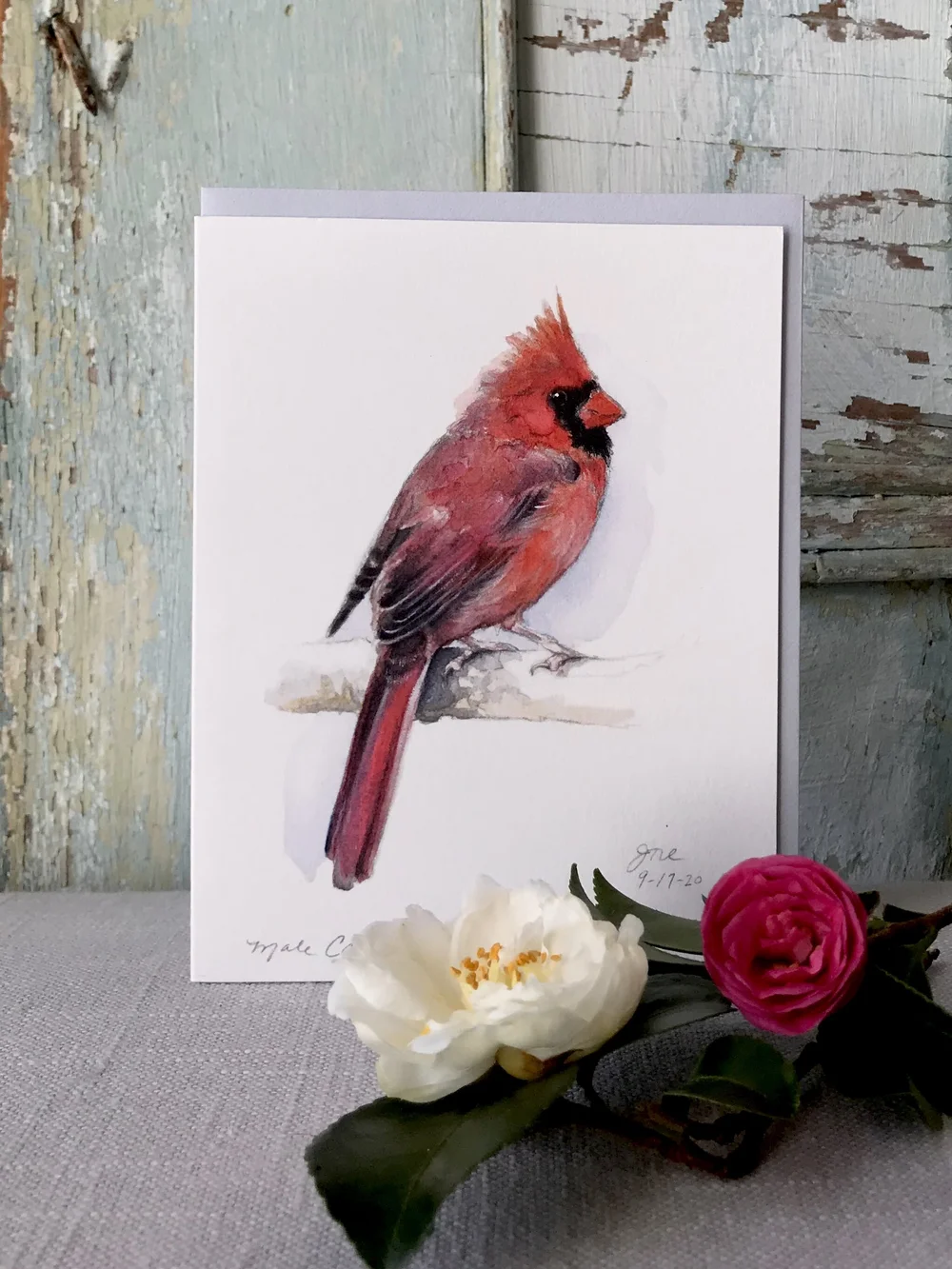 Cardinal In Flight Art
