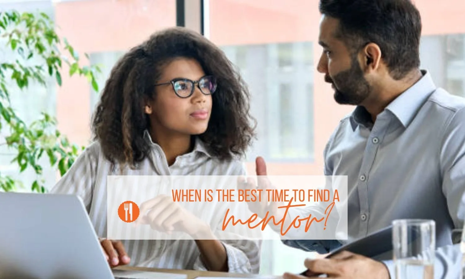 When is the Best Time to Find a Mentor? — PromoKitchen